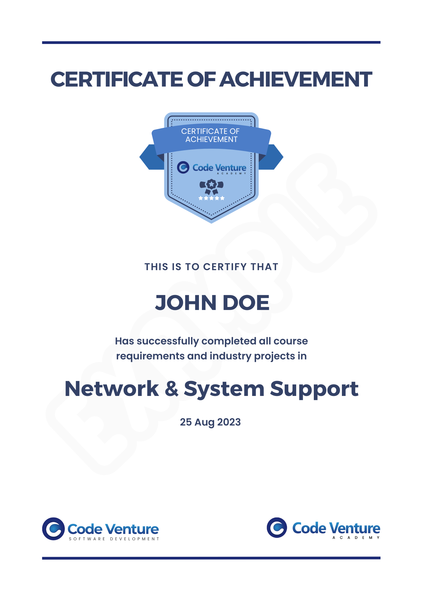 Network & System Support - Code Venture Academy